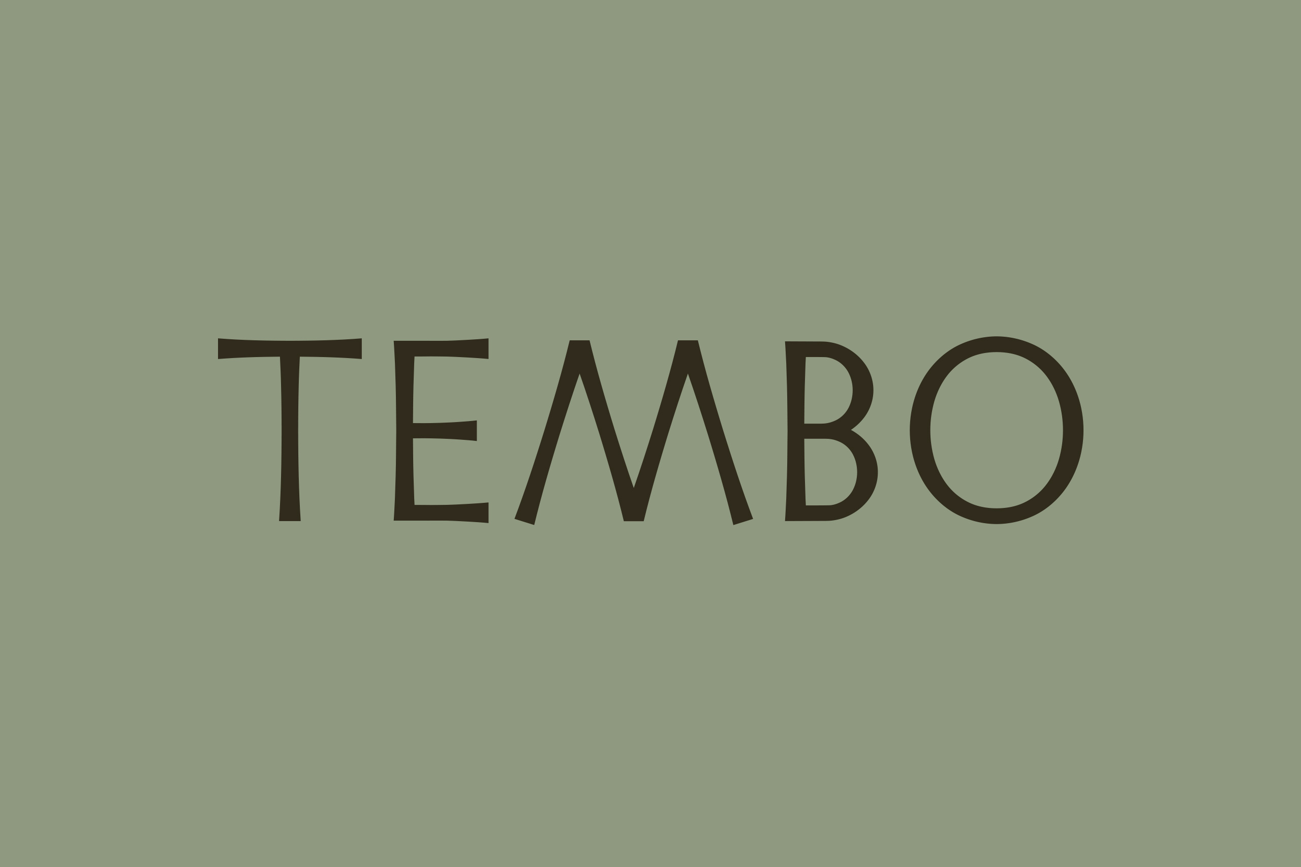 Tembo – Building to Lift Communities – Perky Bros