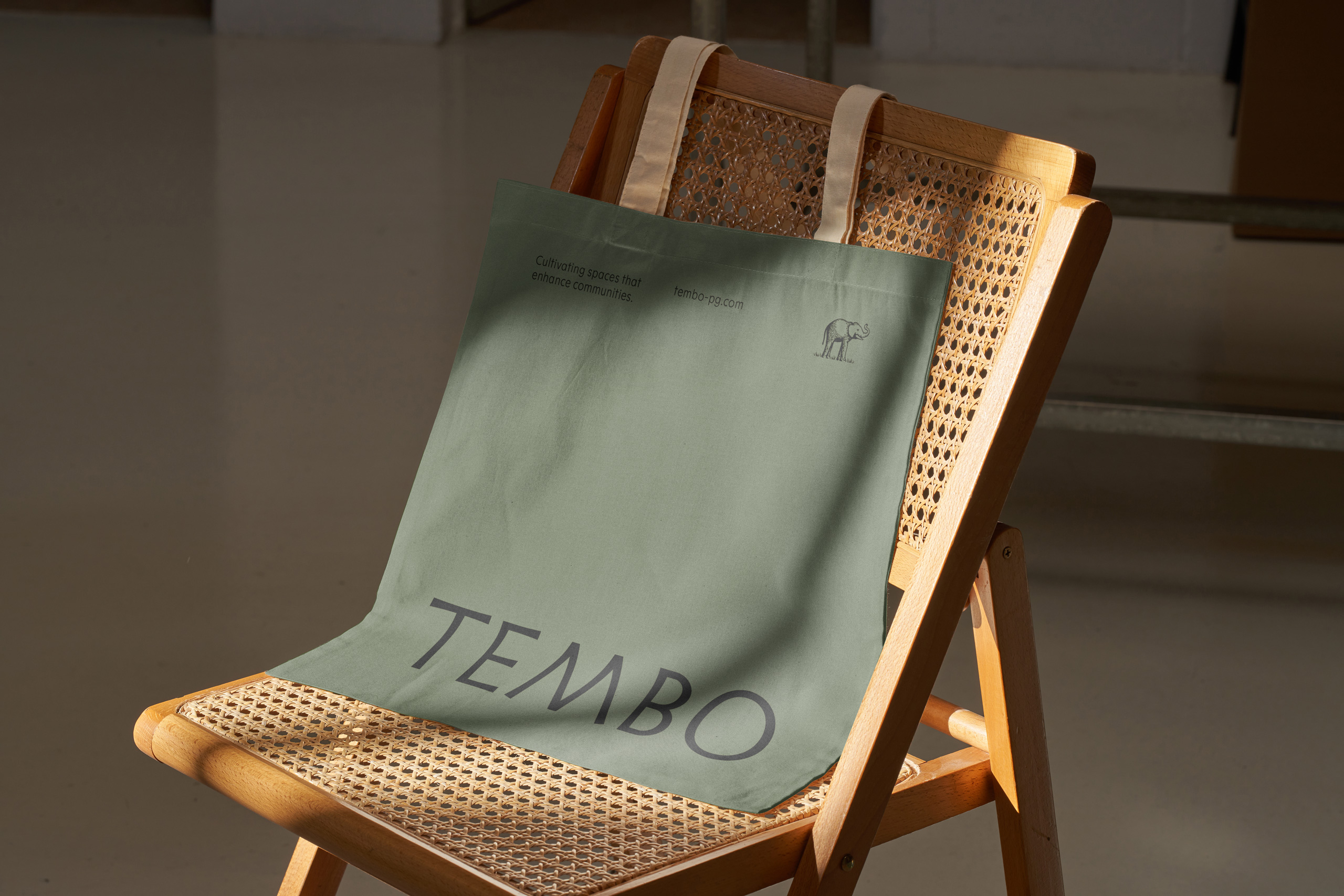 Tembo – Building to Lift Communities – Perky Bros